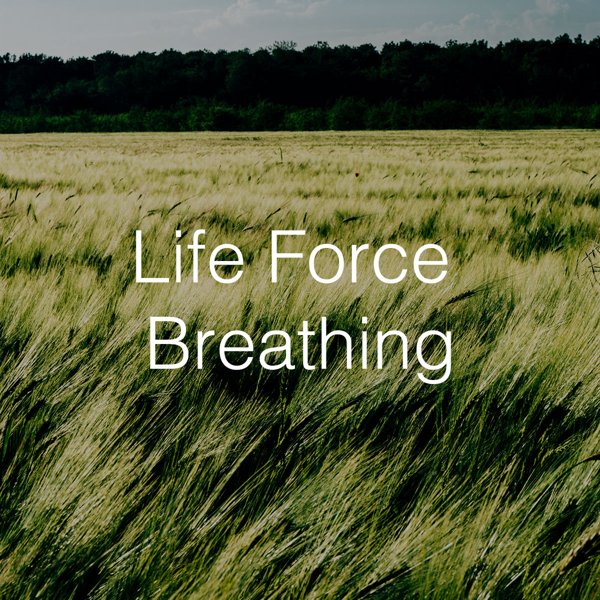 Life Force Breathing - Le Sacré Corps