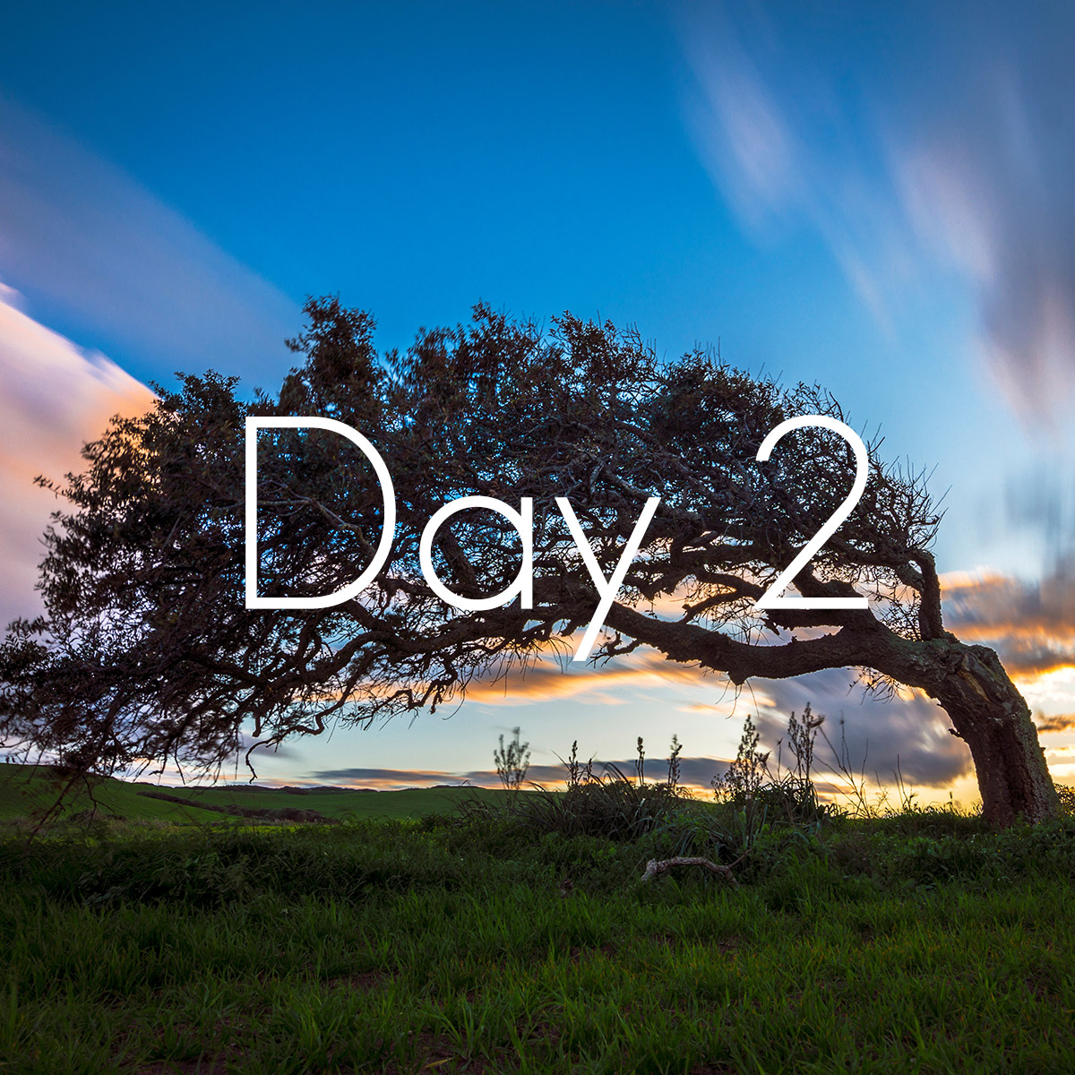 Radiant Body Day 2 - Le Sacré Corps